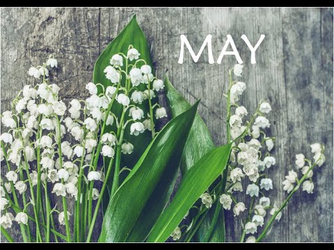 May born people flowers are Lilly of the valley and hawthorn