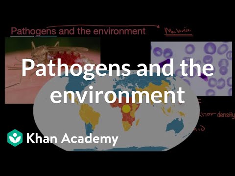 Pathogens and the environment (video) | Khan Academy