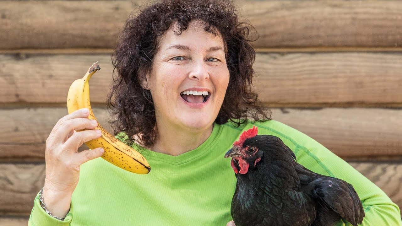Can Chickens Eat Bananas?