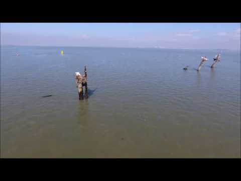 This World War II Shipwreck Is Basically a Bomb Waiting To Go Off