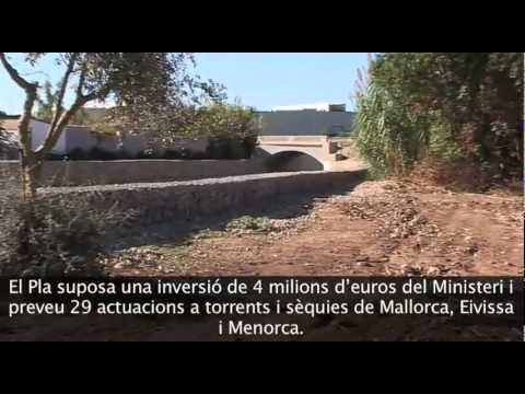 Pla de neteja de torrents