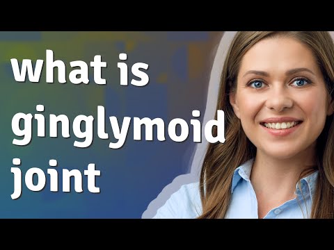 Ginglymoid joint | meaning of Ginglymoid joint