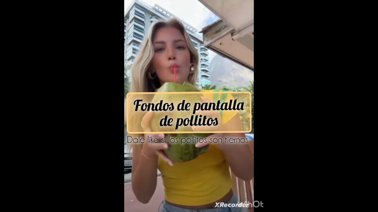 Fondos de pantalla de pollitos 🐣💛