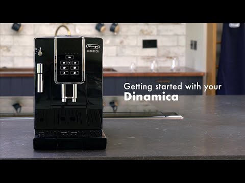 Getting Started With Your Dinamica