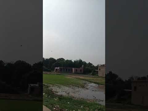 I love cricket meri jaan......... cricket meri pehli Mohabbat hai....