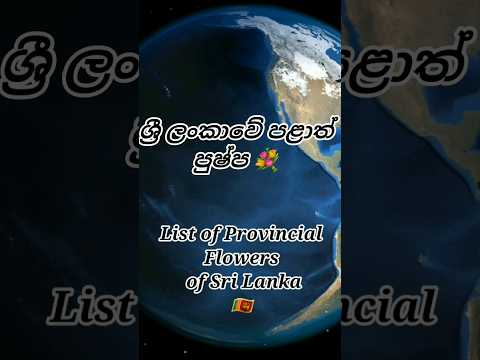List of Provincial Flowers of Sri Lanka 💐🇱🇰 #shorts