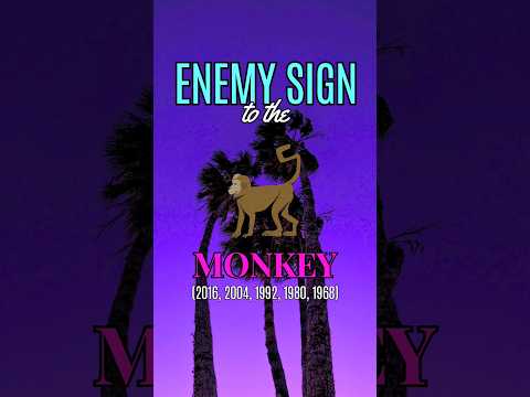 Year Of The Monkey Chinese Zodiac enemy sign #numerology #chinesezodiac #astrology #monkey#horoscope