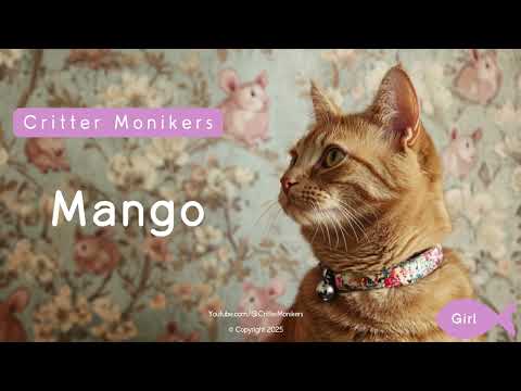 🥭🐾 Mango - Female Ginger Cat Names 🥭🐾 | What's your cat's name? | Critter Monikers