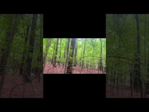 Virginia hunting lease now available on HLRBO!