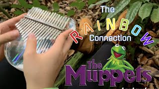 Kermit the Frog - The Rainbow Connection (The Muppets) by tartardoremi ...