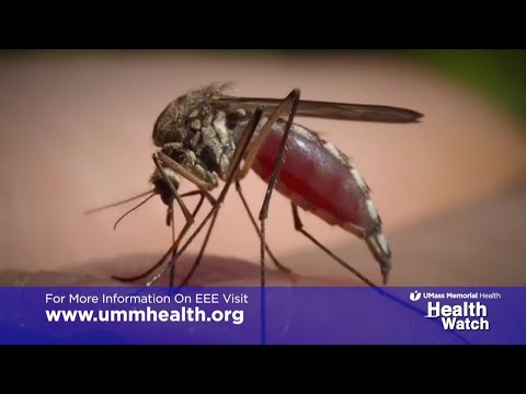 Health Watch: EEE