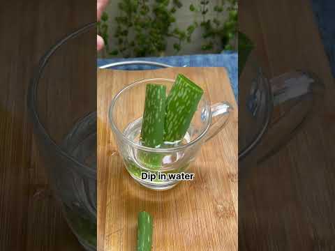 The right way to use aloevera ⚠️