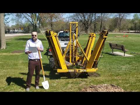 2021 Arbor Day Cedar Falls Proclamation