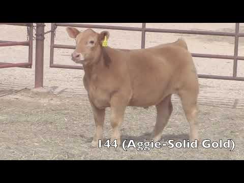 144 STEER