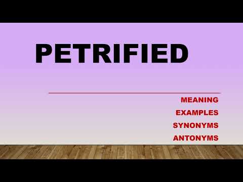 What is meaning of word "Petrified" | "Petrified" meaning