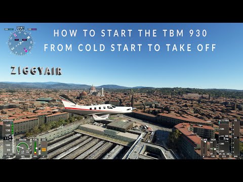 HOW TO START THE TBM 930 AND TRAIN YOUR CAT AS CO-PILOT - FROM COLD AND DARK TO TAKEOFF.