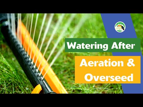 How to Water After Your Aeration and Overseeding