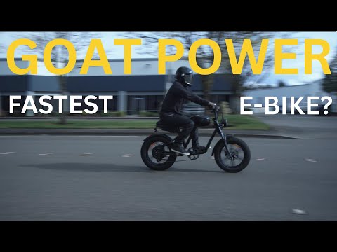 Goat 2