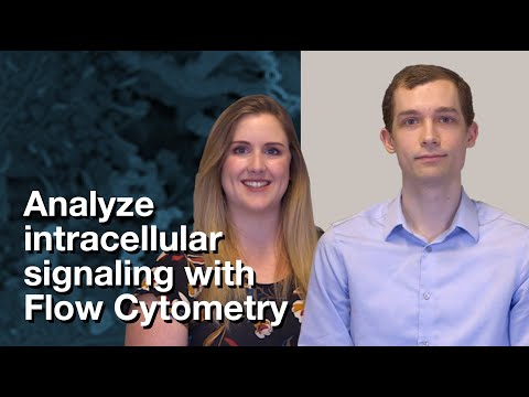 Experimental Design: Analyze intracellular signaling with Flow Cytometry | CST Tech Tips