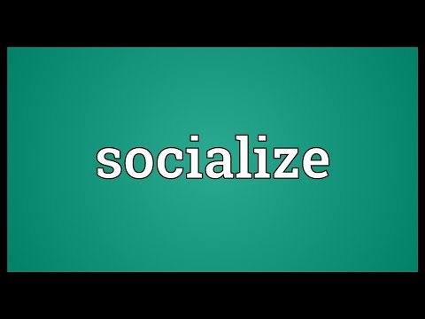 Socialize Meaning