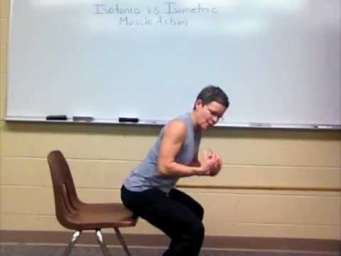 Isometric & Isotonic Muscle Actions