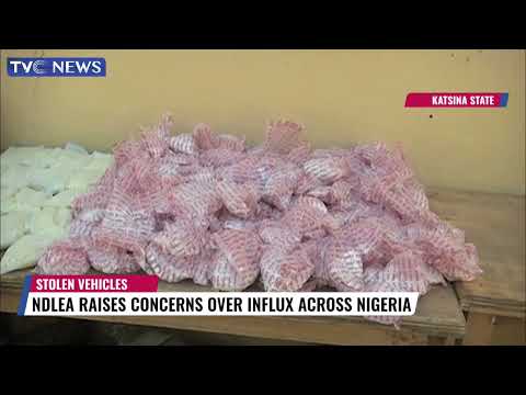 NDLEA Raises Concerns About Involvement Of Housewives In Drug Peddling