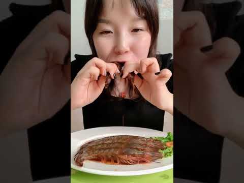 eating show live octopus, eating show live seafood, eating show live food *eating show us