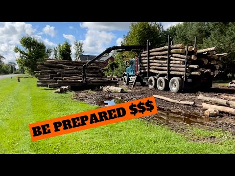 FIREWOOD SURGE! BUYER BEWARE SELLER GET READY