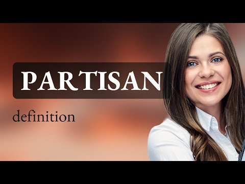 Partisan • what is PARTISAN meaning