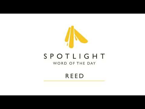 Reed | Spotlight Word of the Day