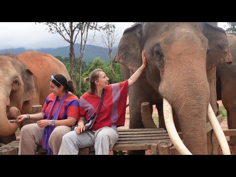 Bathing Elephants & Taking Rice Whiskey Shots with The Karen Tribe