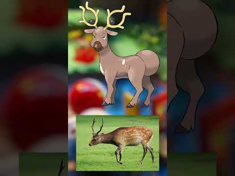 WTF is Stantler?! | EVERY Pokémon Design Explained #pokemon #pokemontcg #gaming