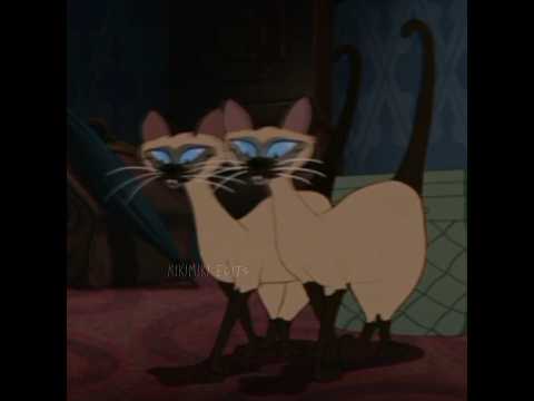 Siamese cats🐈⬛||Lady and the Tramp is one of my all-time favourite movies! #ladyandthetramp
