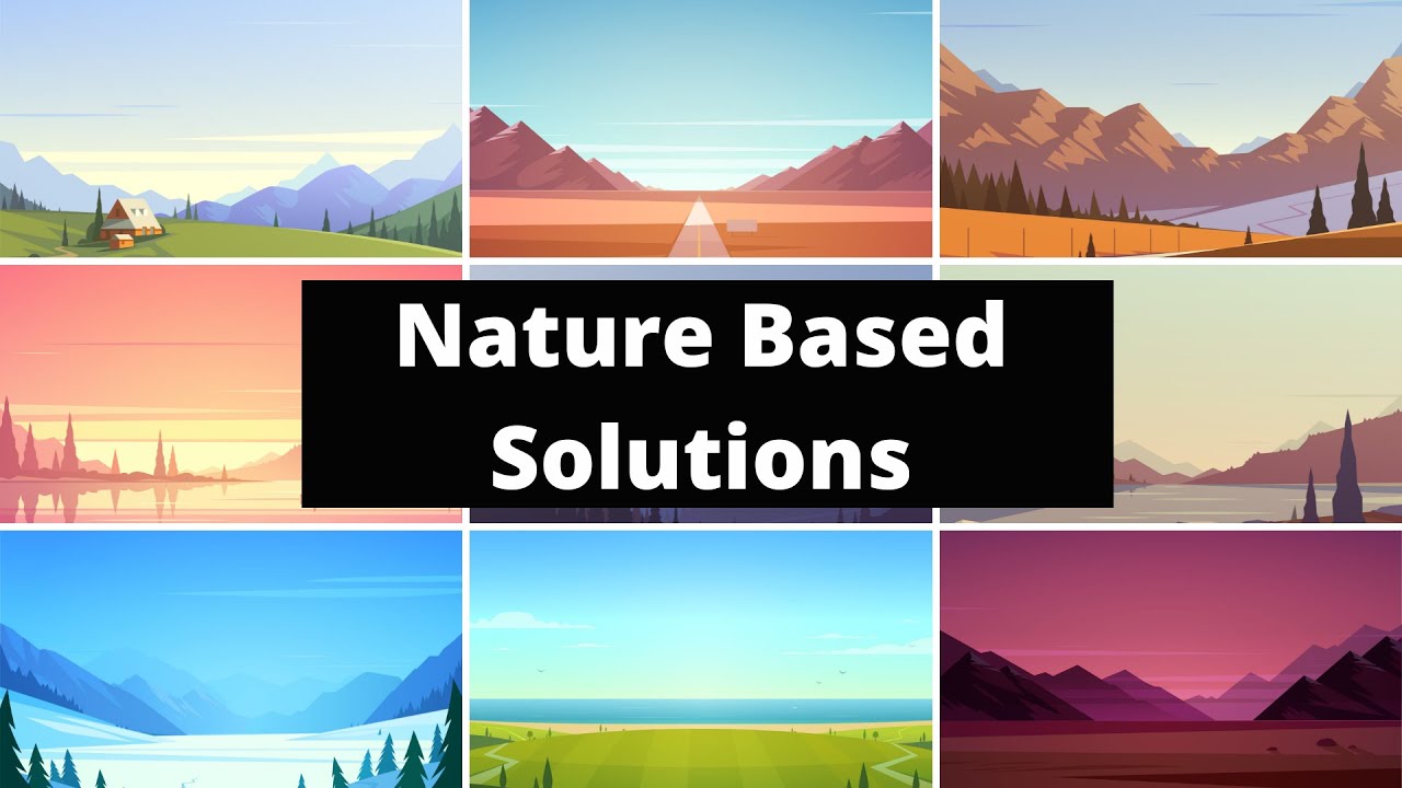 Investing in Nature Based Solutions to Climate Change
