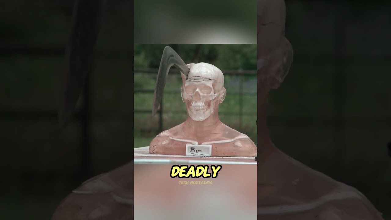 How Aboriginal People Used Ancient Boomerangs