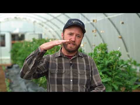 5 Principles of Regenerative Farming