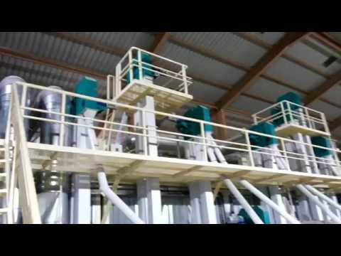 Pulses Processing Machine - Pulse Processing Plant Latest Price ...