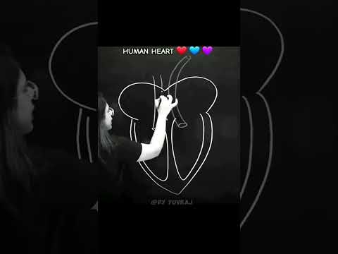 THE MOST IMPORTANT DIAGRAM FOR CLASS 10TH🤯||HUMAN HEART DIAGRAM🔥||#pw ##shorts #reels #heart