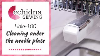 Halo-100 Embroidery Machine | Echidna Sewing