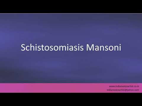 Pronunciation of the word(s) "Schistosomiasis Mansoni".