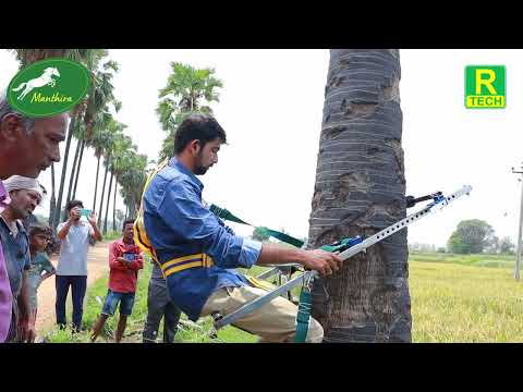 Coconut Tree Climber at Best Price in India