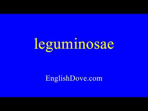 How to pronounce leguminosae in American English