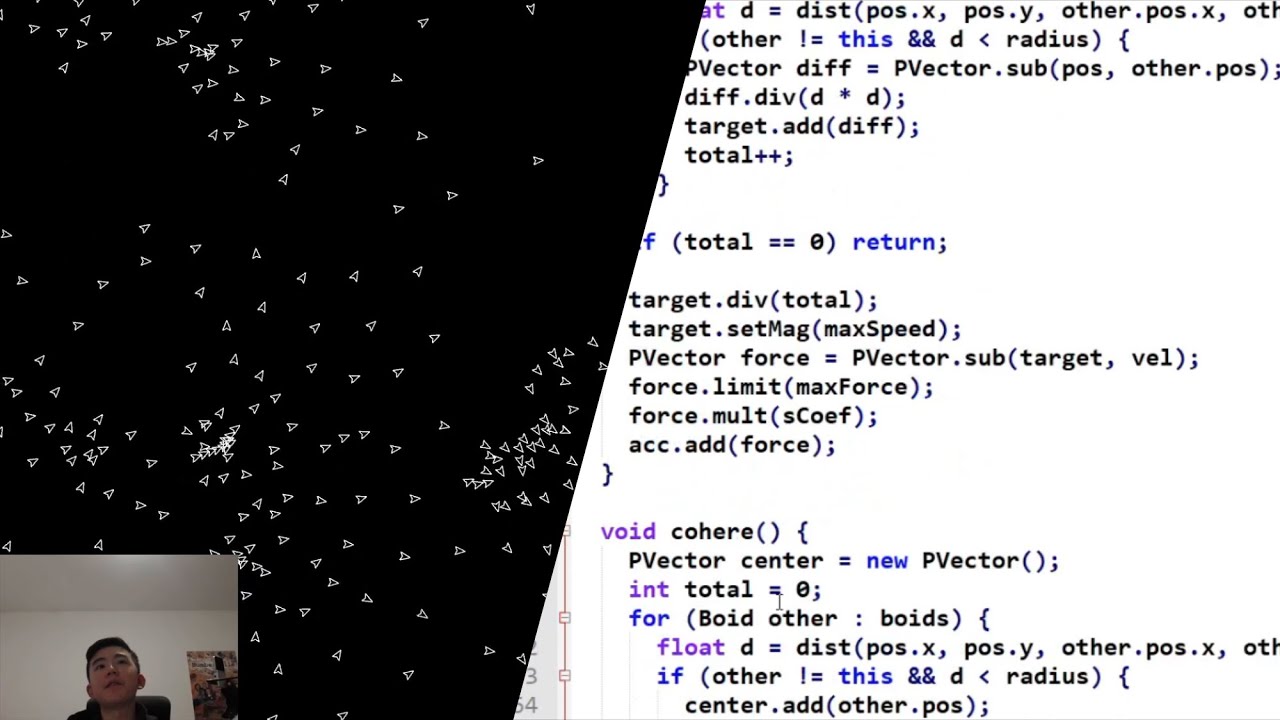 Coding Boids in 15 Minutes