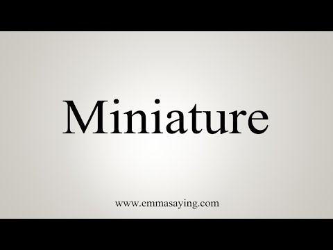 How To Say Miniature