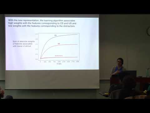 The Tea Time Talks: Banafshe Rafiee, A Trace-Conditional Testbed (August 12)