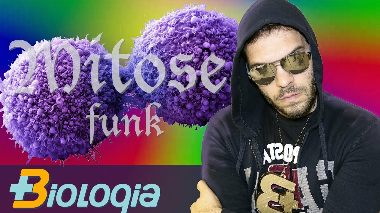 Funk da Mitose - Mais Biologia, com Roger Maia