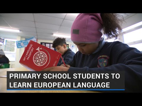 Primary school children to learn European language under curriculum change