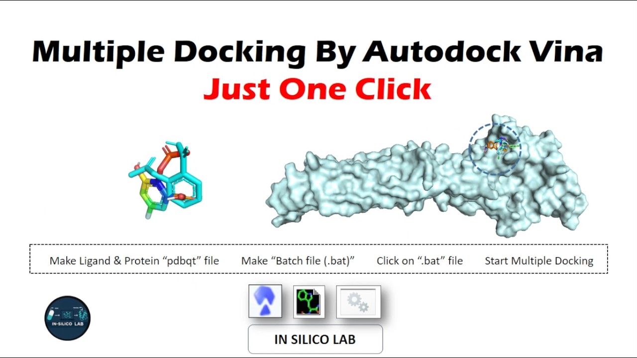 Multiple Docking by AutoDock Vina | Batch Docking in One Click (.bat File Tutorial) | In-Silico Lab