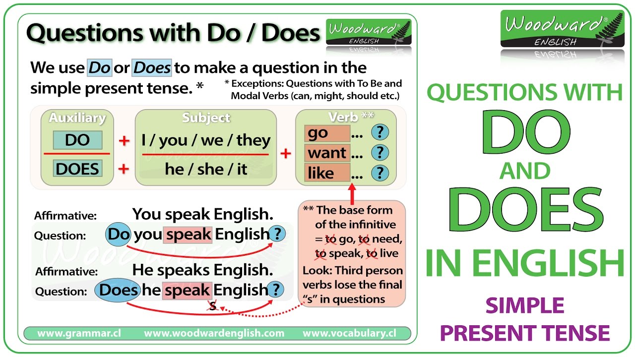 Do and Does in English | Simple Present Tense Questions | Learn English DO vs. DOES