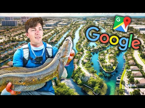 Google Maps Challenge In URBAN Florida!